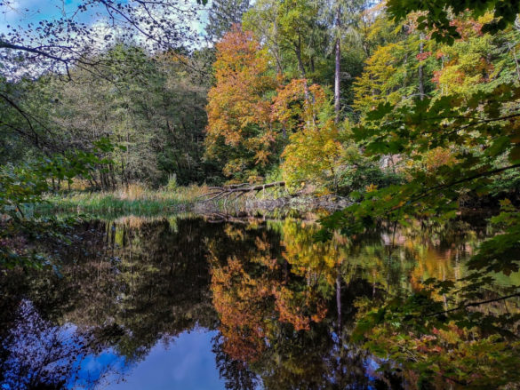 Indian Summer - Den Herbst in Deutschland erleben - Immer auf Reisen