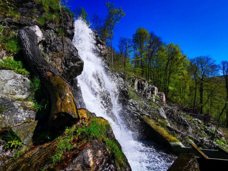 Trusetaler Wasserfall: Naturerlebnis im Thüringer Wald entdecken