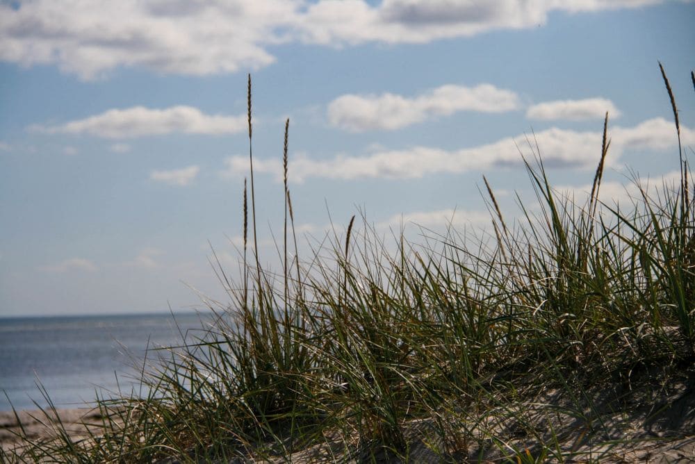 Urlaub in Øster Hurup – Dänemarks verstecktes Juwel an der Ostküste